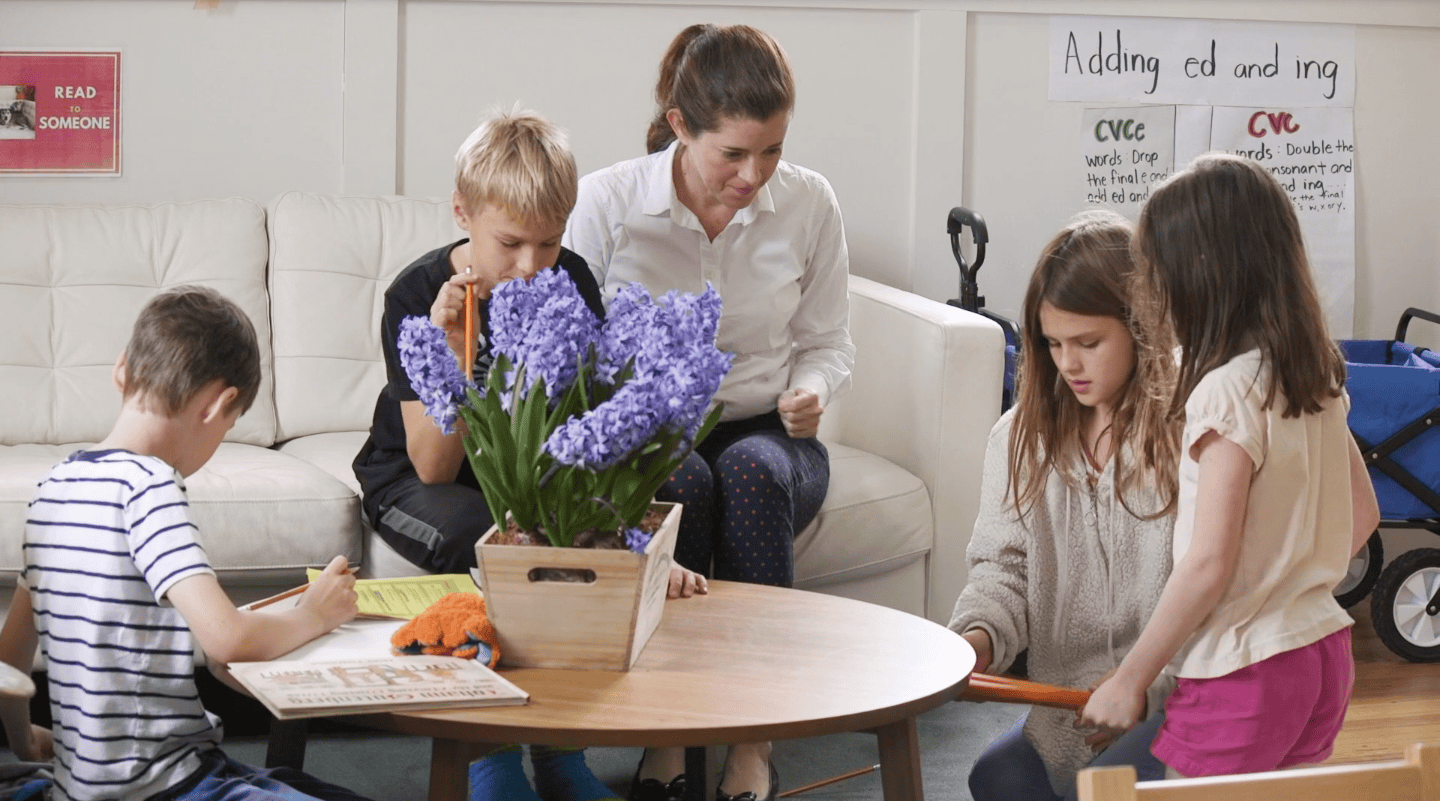 Microschooling as a new educational option - Mississippi Center for ...